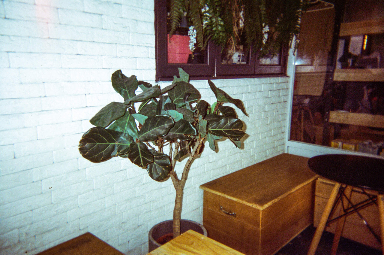 AMBER Spark Disposable – RETO Project